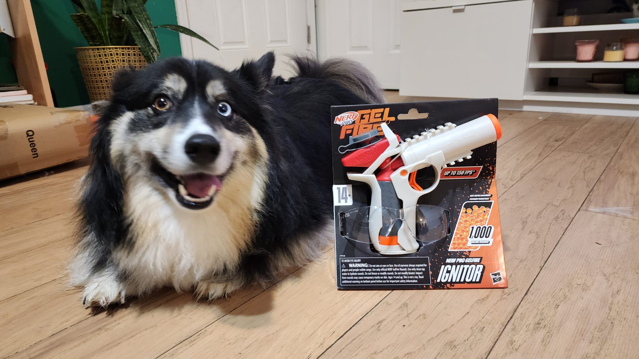 Nerf Pro Gelfire Ignitor Review | Blaster Hub