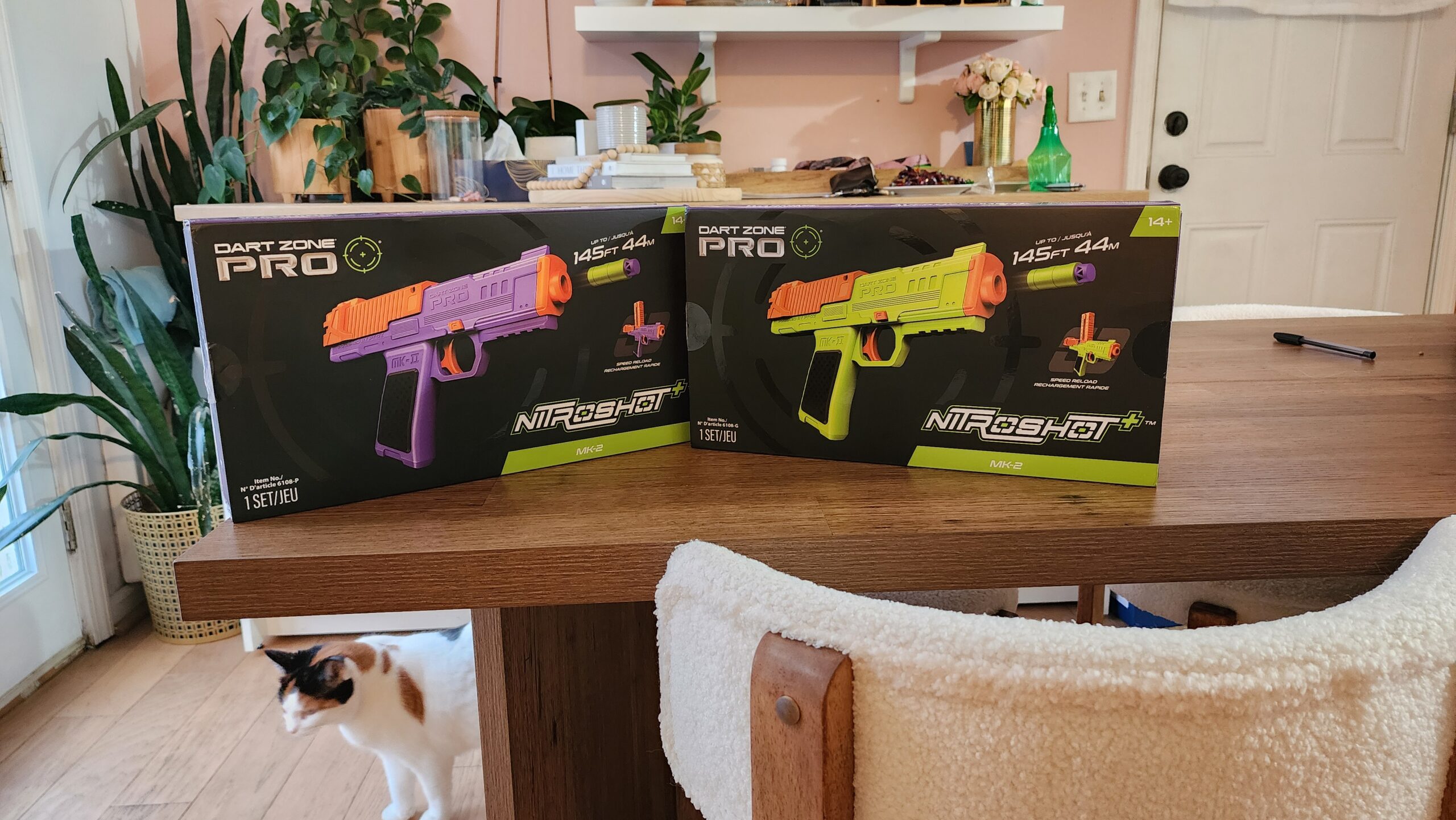 20241025_082555 | Blaster Hub