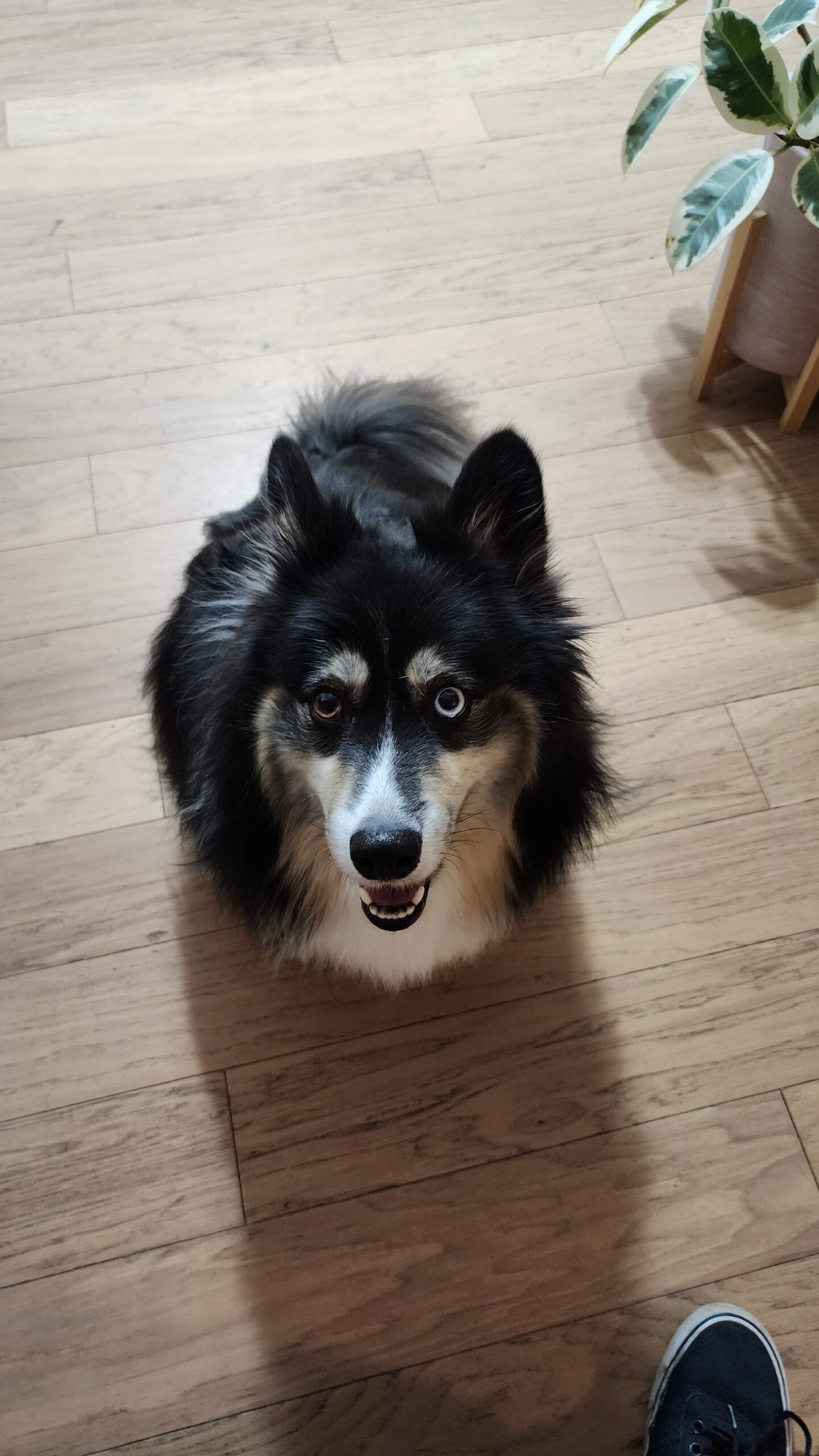 20241116_192040 | Blaster Hub