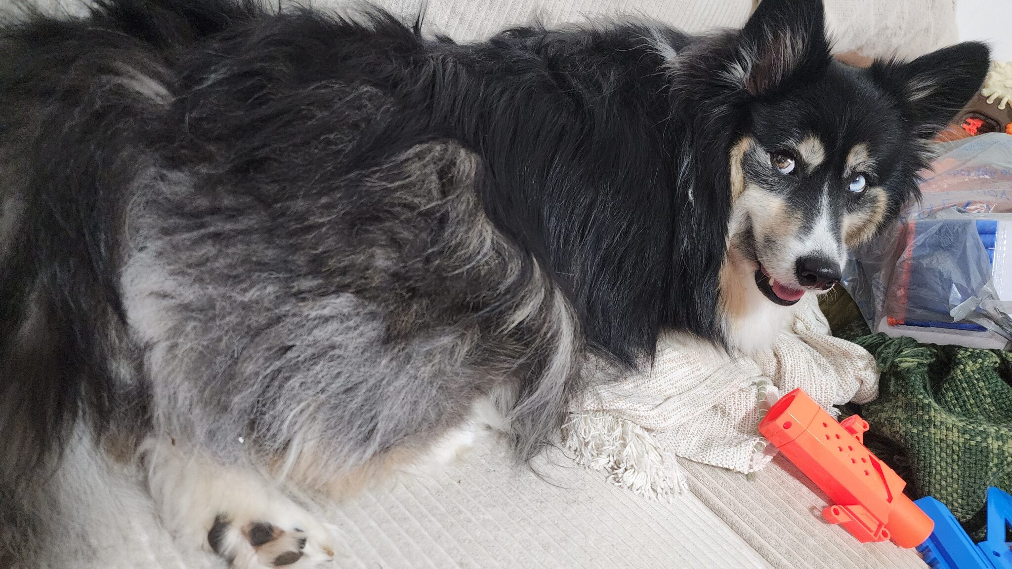 Xshot Insanity Clip Mania Review | Blaster Hub